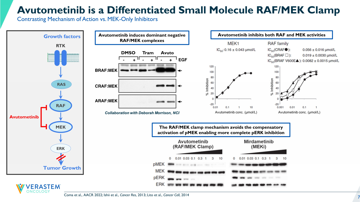 Avutometinib, RAF/MEK Clamp Program Overview